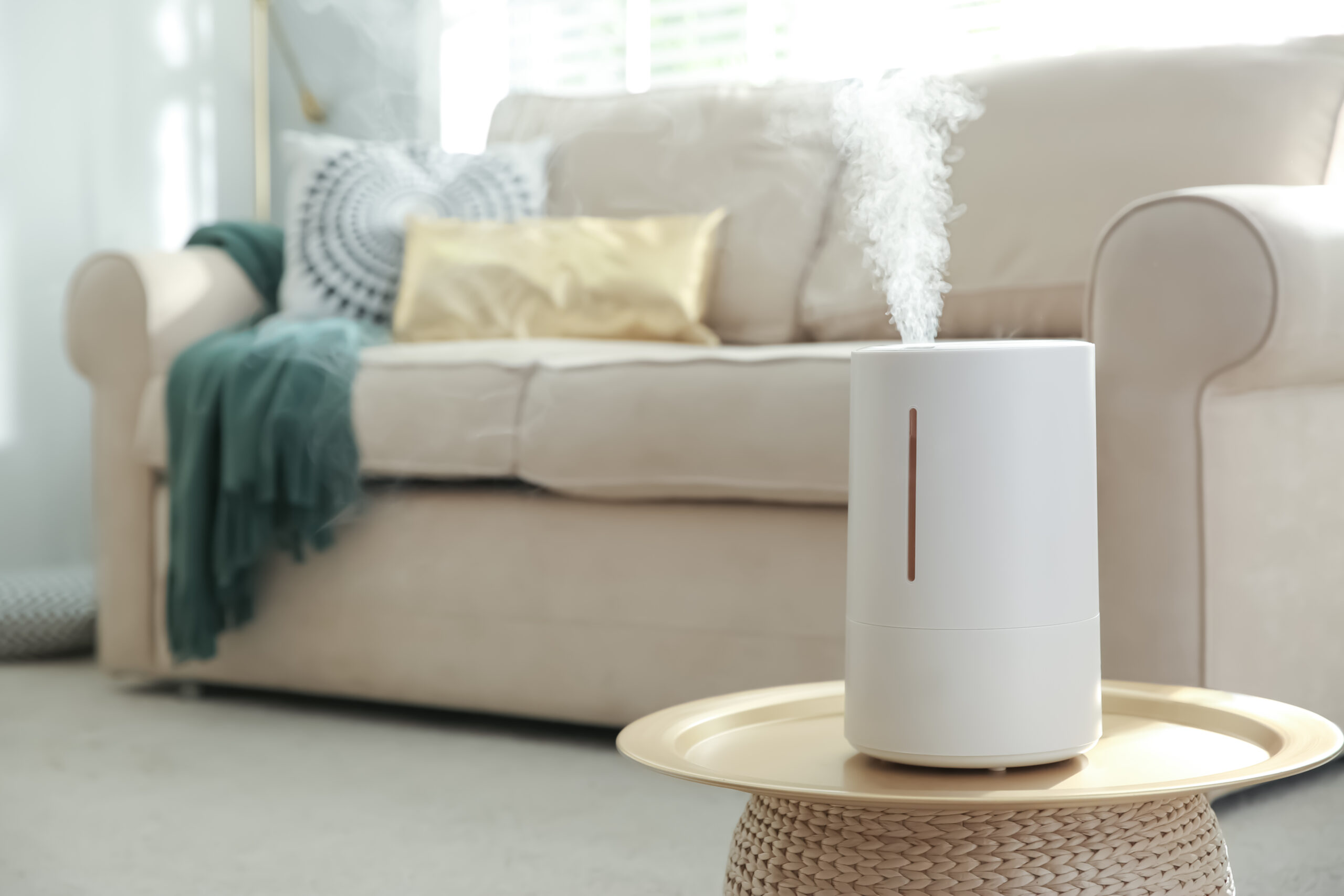 Why a Humidifier Might Be Good for Your Allergies | Crest Air